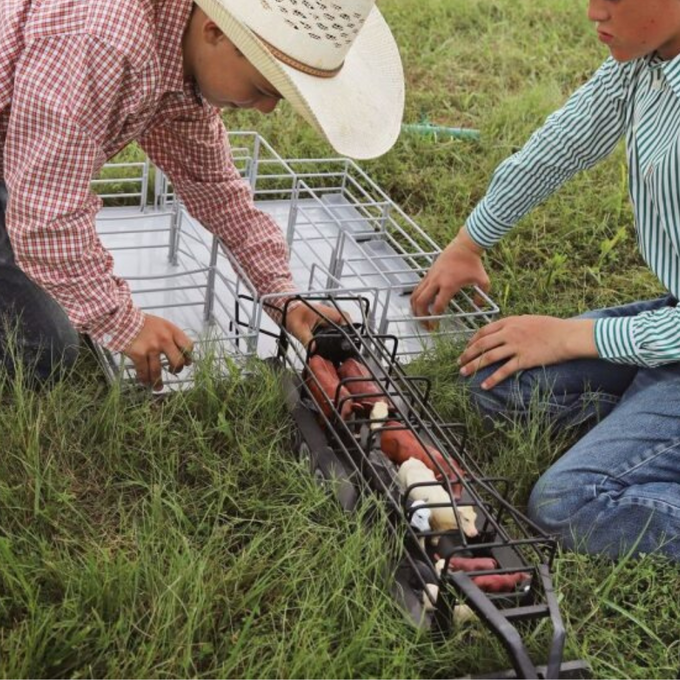Little Buster Gooseneck Trailer with Split Gates - Agzaga